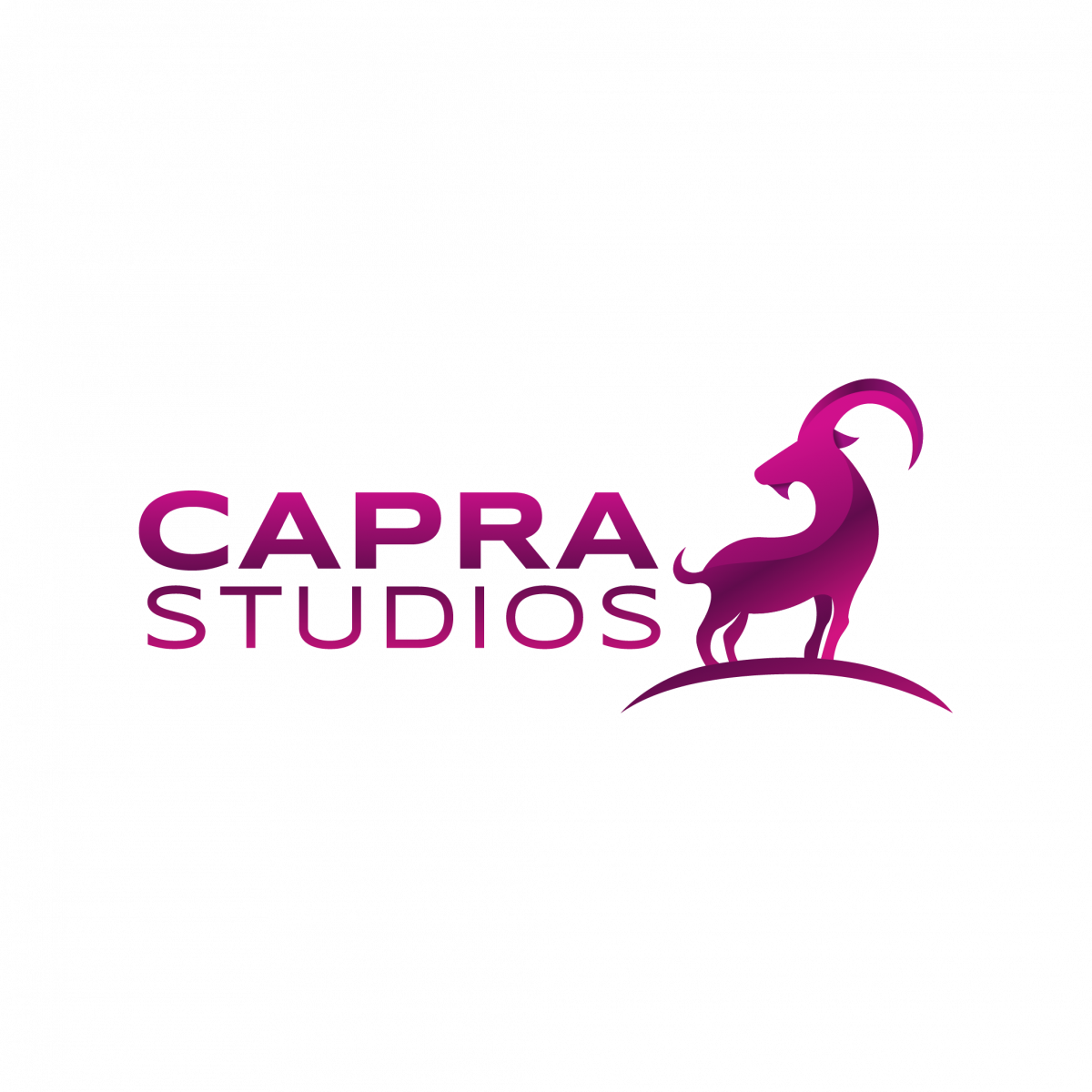 Capra Studios in Amsterdam | Ervaringen en reviews - Trustoo