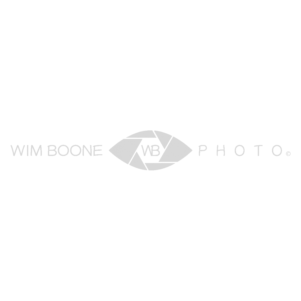 Wim Boone Photo in Ichtegem-eernegem | Reviews - Trustlocal